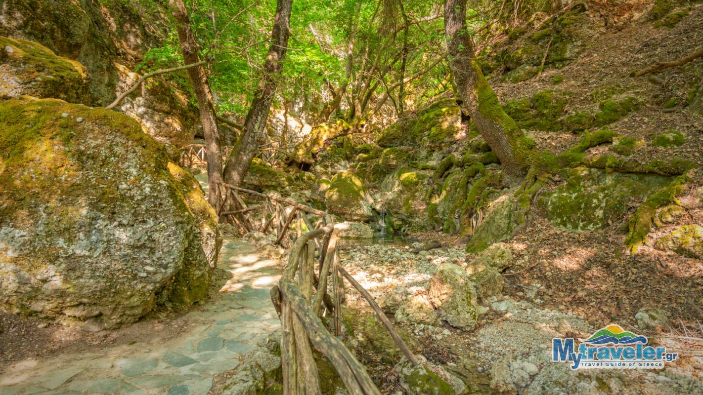 Κοιλάδα με τις Πεταλούδες - Ρόδος - MyTraveler.gr